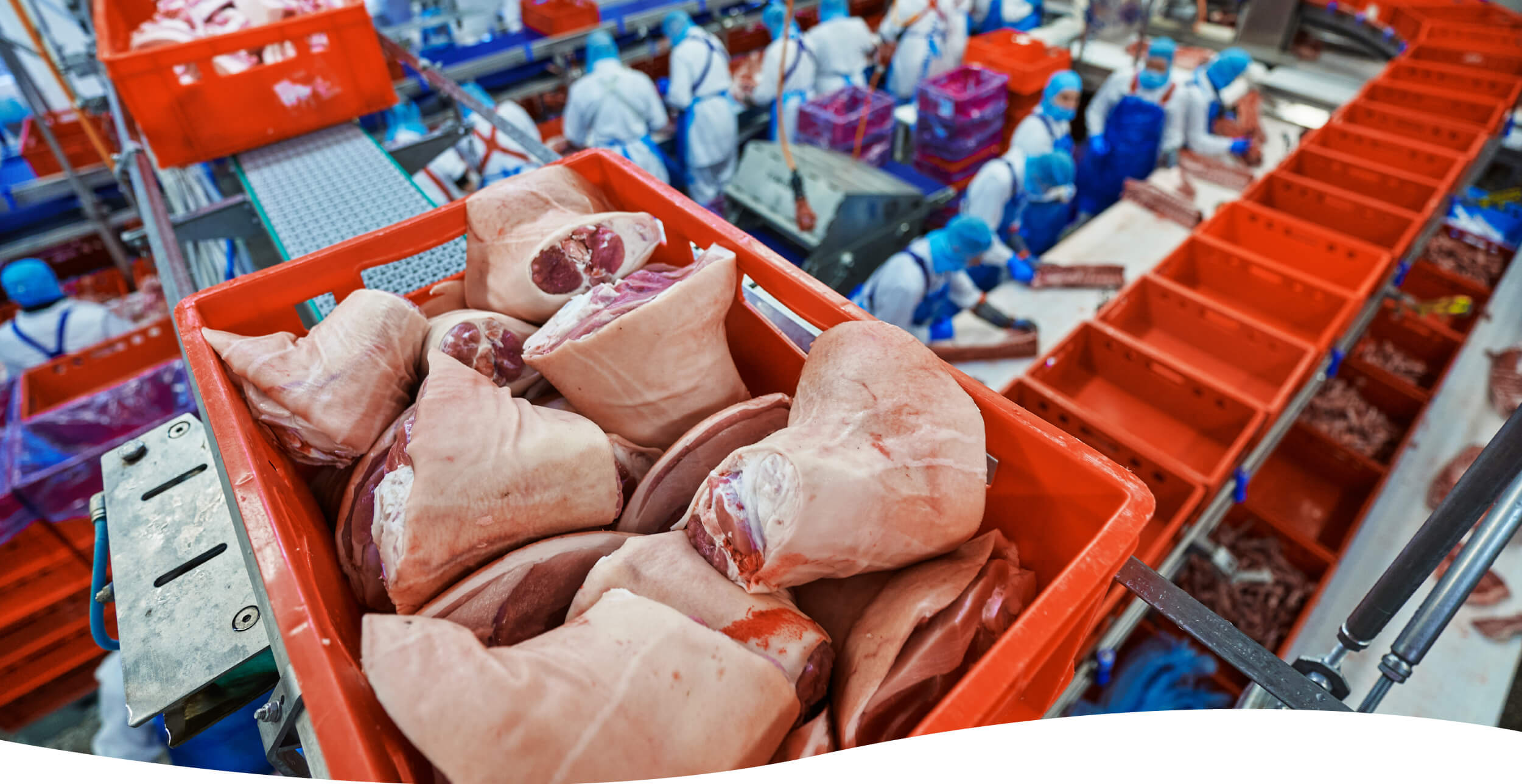 QS + ITW Fleisch - Vital-Fleisch GmbH, Speyer